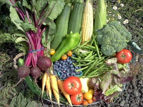 Climate Change, Health & Diet | Cape Cod Climate Change Collaborative